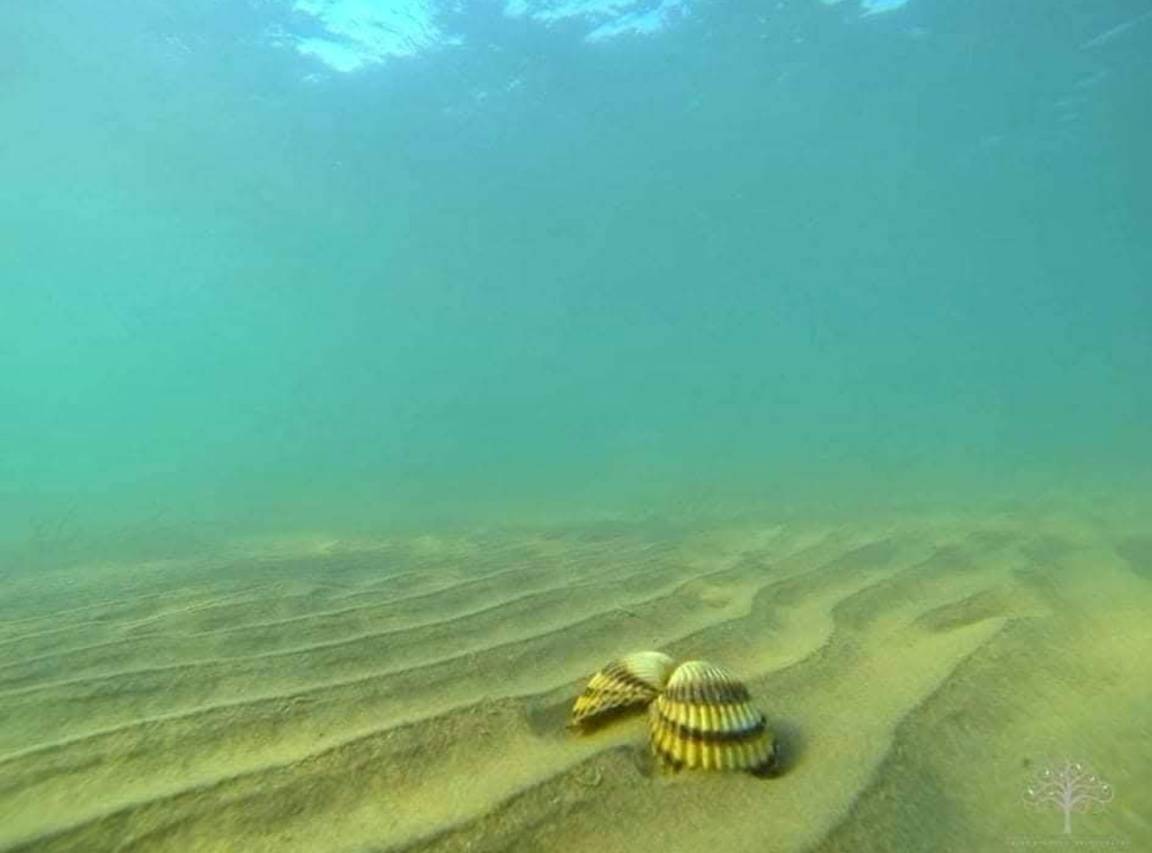 85 M² Apartamento ∙ 3 Habitaciones ∙ 5 Huéspedes - Sukošan