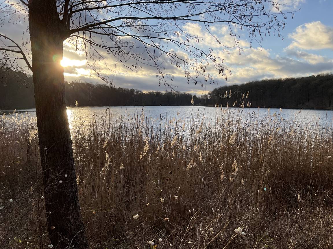 Apartment ∙ 1 Bedroom ∙ 2 Guests - Berlin