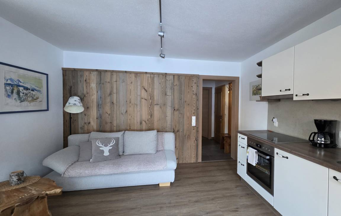 35 M² Apartment ∙ 1 Bedroom ∙ 3 Guests - Fieberbrunn