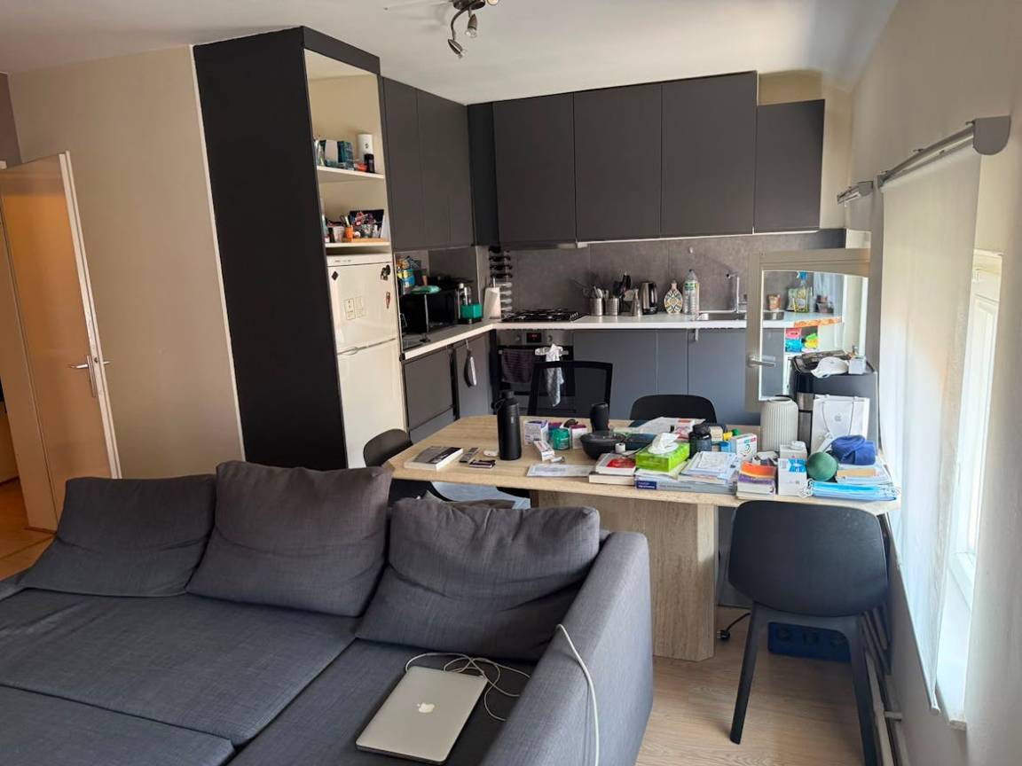 45 M² Appartement ∙ 1 Chambre ∙ 2 Personnes - Ixelles
