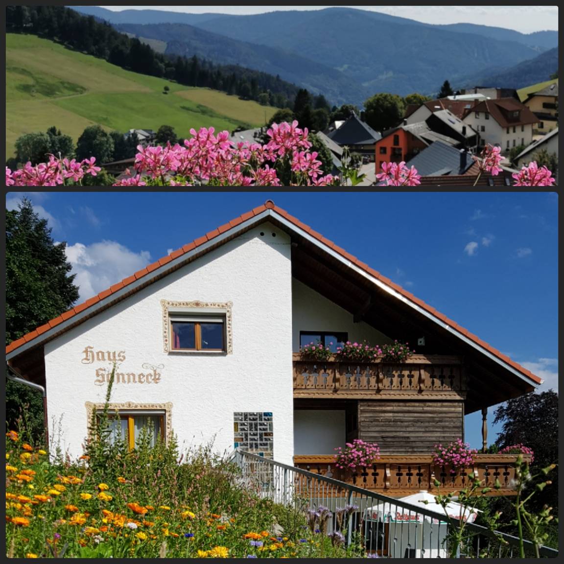 50 M² Appartement ∙ 1 Slaapkamer ∙ 2 Gasten - Todtnau