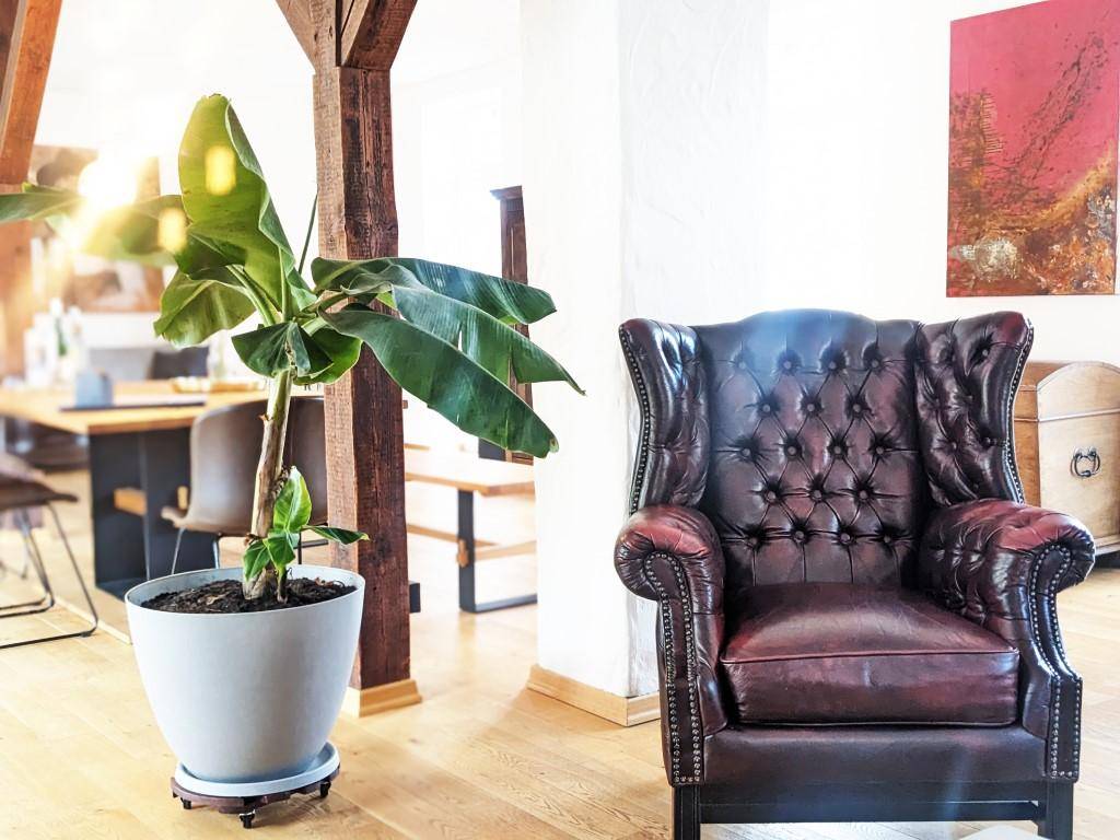 175 M² Apartment ∙ 2 Bedrooms ∙ 6 Guests - Zeltingen-Rachtig
