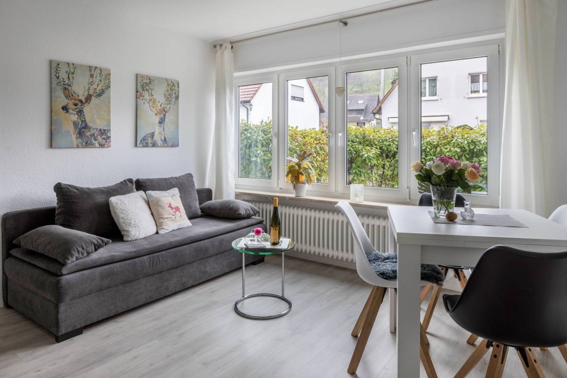 45 M² Appartement ∙ 1 Chambre ∙ 4 Personnes - Fribourg-en-Brisgau