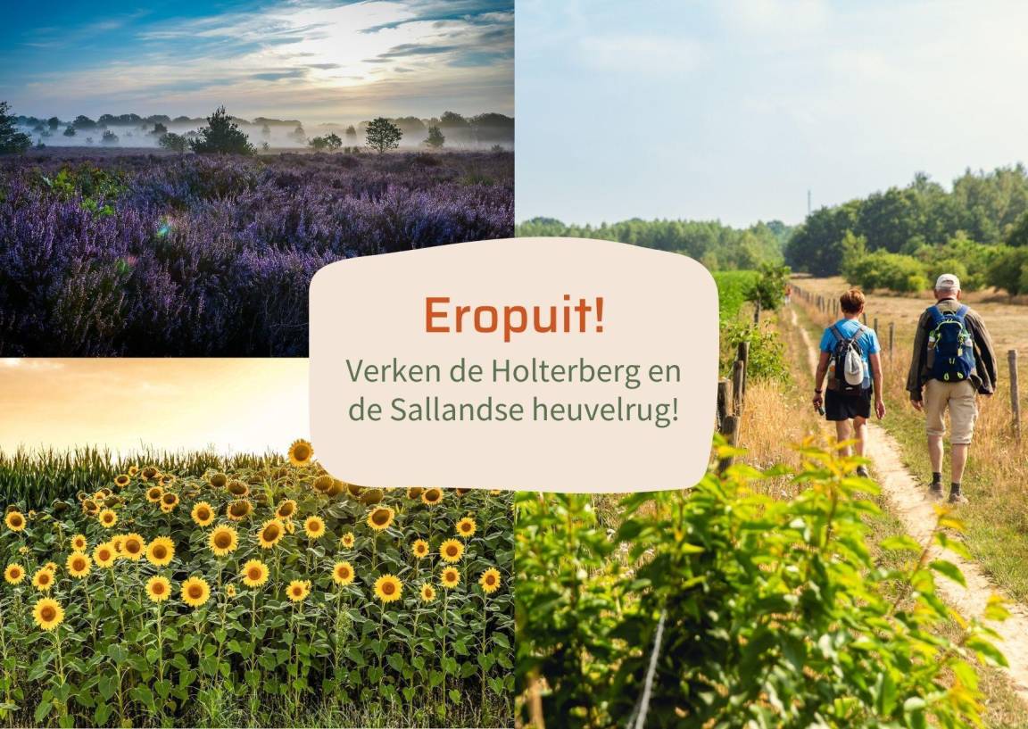 Holiday Park ∙ 2 Bedrooms ∙ 4 Guests - Overijssel