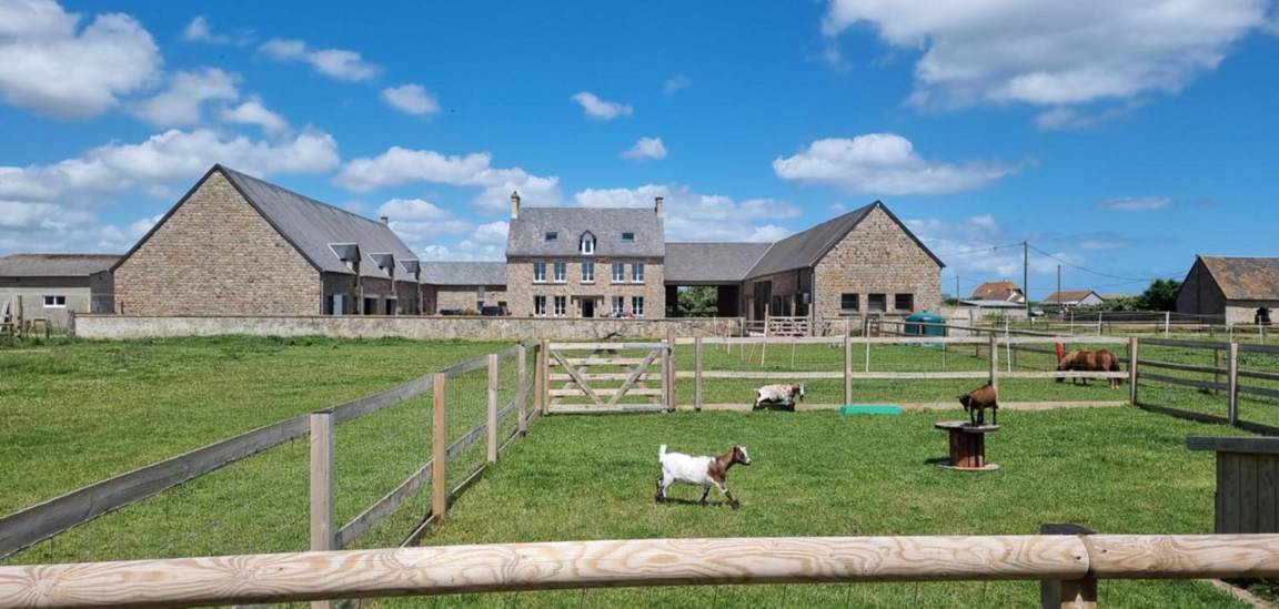 80 M² Appartement ∙ 2 Chambres ∙ 5 Personnes - Utah Beach