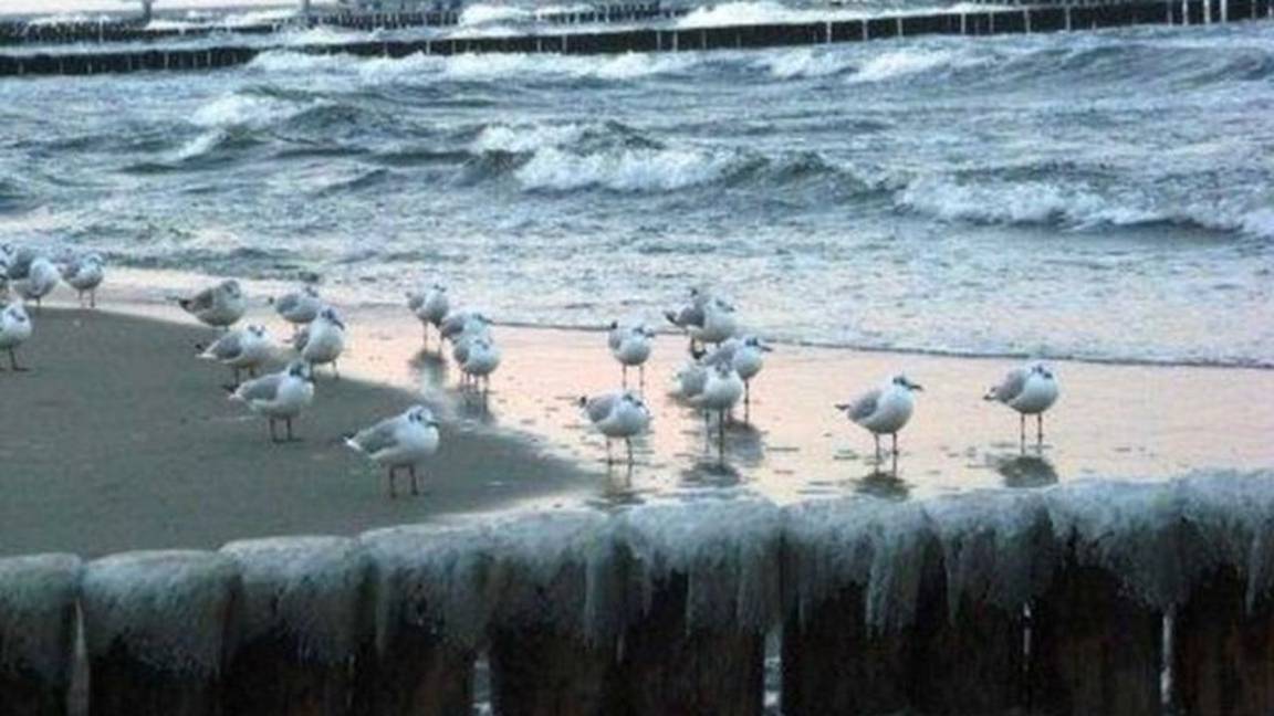 50 M² Ferienwohnung ∙ 1 Schlafzimmer ∙ 4 Gäste - Koserow