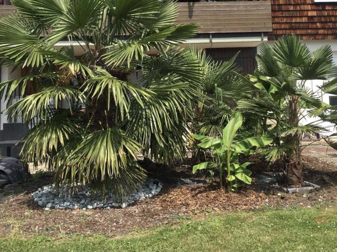 42 M² Ferienwohnung ∙ 1 Schlafzimmer ∙ 2 Gäste - Lichtenstein