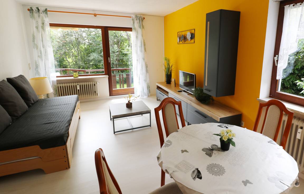 52 M² Appartement ∙ 1 Chambre ∙ 4 Personnes - Schluchsee