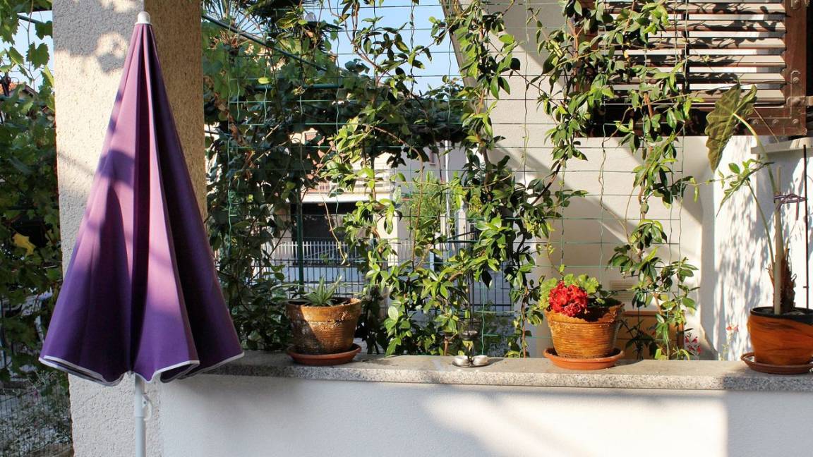 20 M² Hôtel ∙ 1 Chambre ∙ 3 Personnes - Istrie