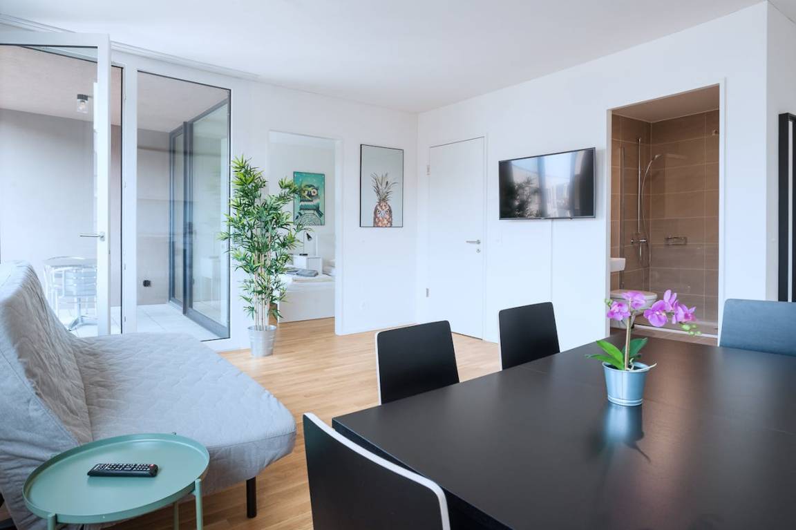 46 M² Ferienwohnung ∙ 1 Schlafzimmer ∙ 4 Gäste - Basel