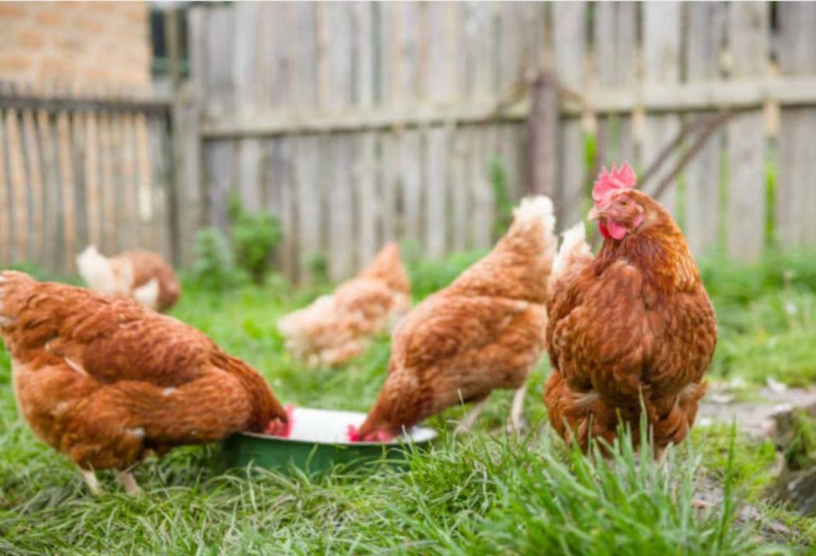 Apartment ∙ 2 Guests - Monroe, NY