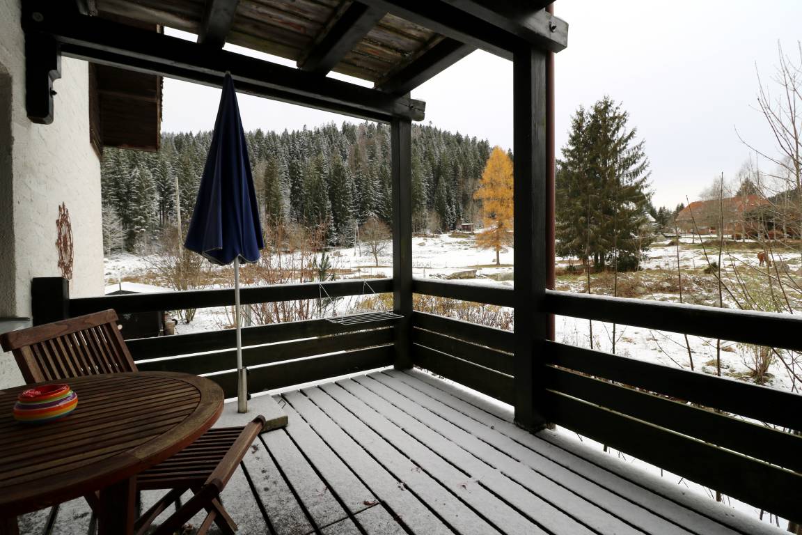 43 M² Appartement ∙ 1 Chambre ∙ 4 Personnes - Schluchsee