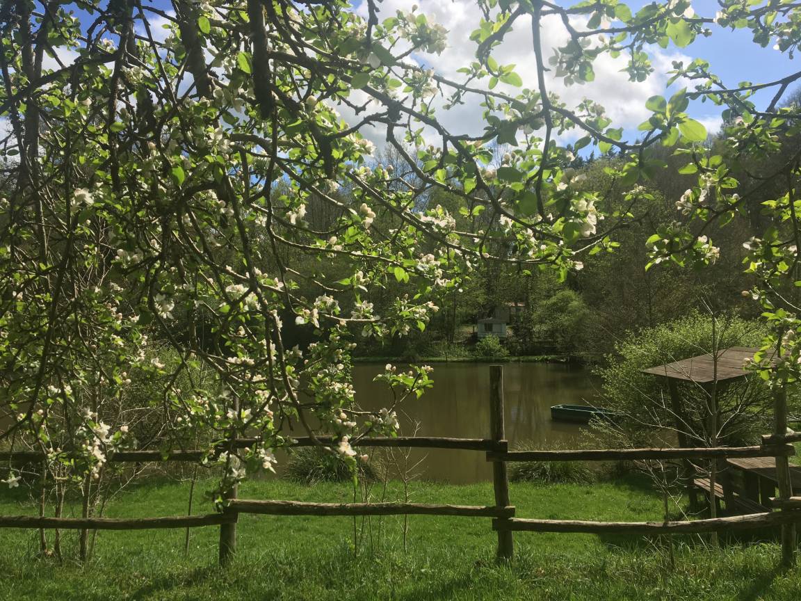 30 M² Chalet ∙ 2 Chambres ∙ 4 Personnes - Dordogne