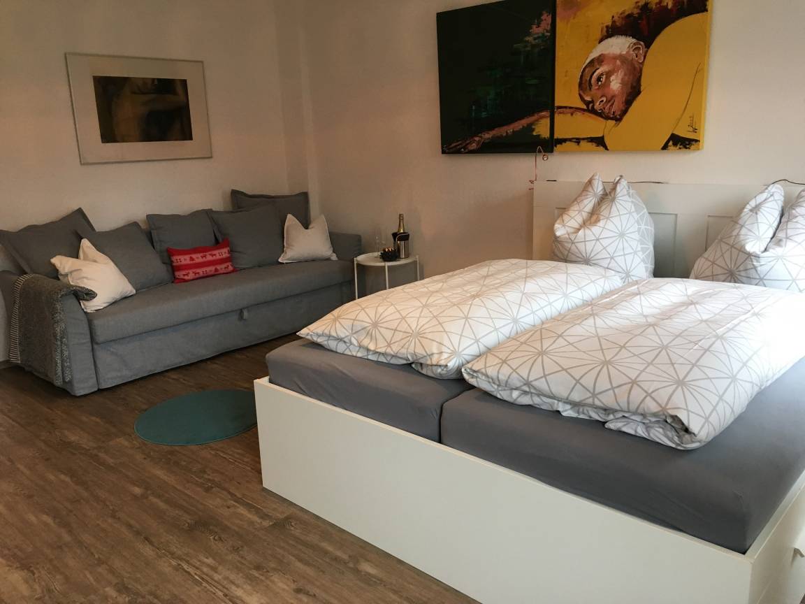 45 M² Apartamento ∙ 1 Habitación ∙ 3 Huéspedes - Gaienhofen