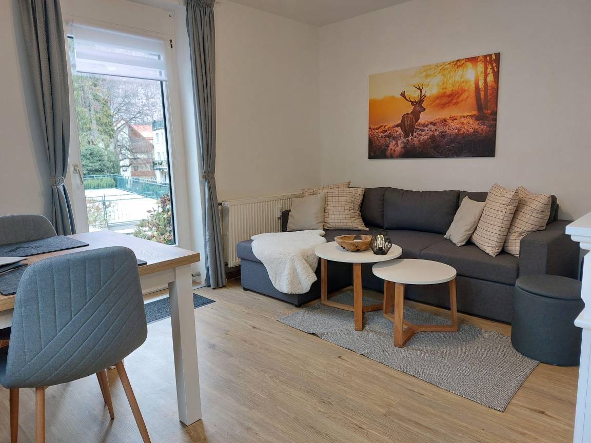 64 M² Apartamento ∙ 2 Habitaciones ∙ 4 Huéspedes - Bad Harzburg