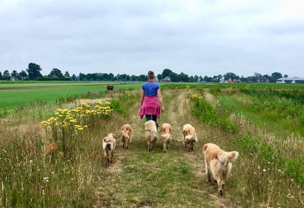 Apartment ∙ 1 Bedroom ∙ 2 Guests - Emmen, Niederlande