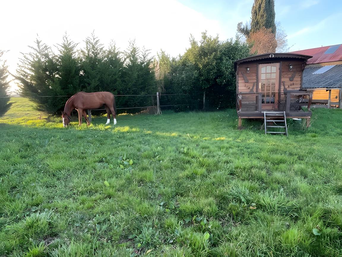 Bed & Breakfast ∙ 1 Schlafzimmer ∙ 2 Gäste - Mâcon