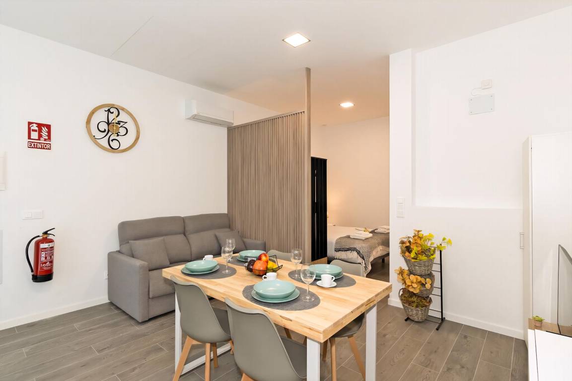 50 M² Studio Flat ∙ 1 Bedroom ∙ 4 Guests - Valencia