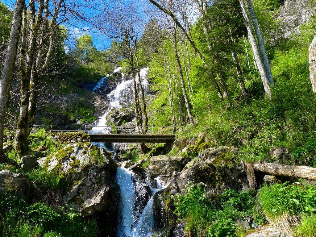 66 M² Apartment ∙ 1 Bedroom ∙ 4 Guests - Todtnauberg