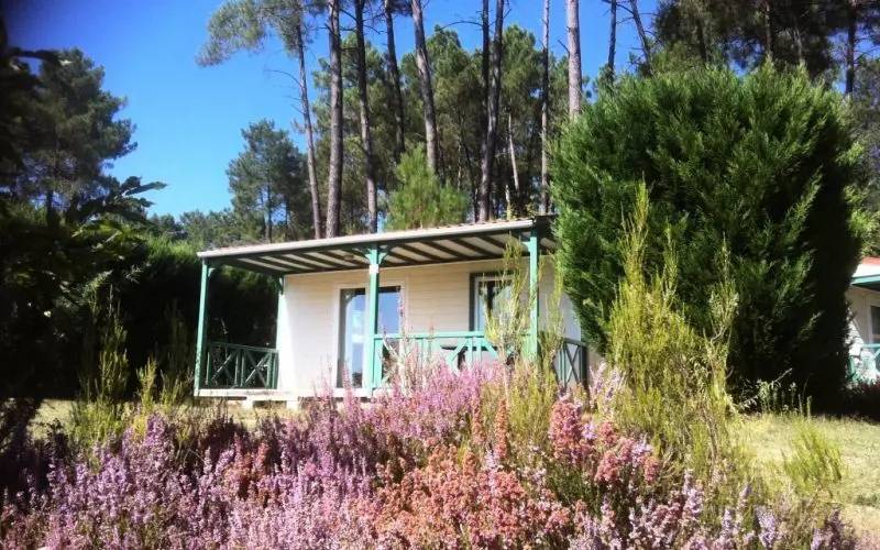25 M² Chalet ∙ 2 Bedrooms ∙ 4 Guests - Dordogne