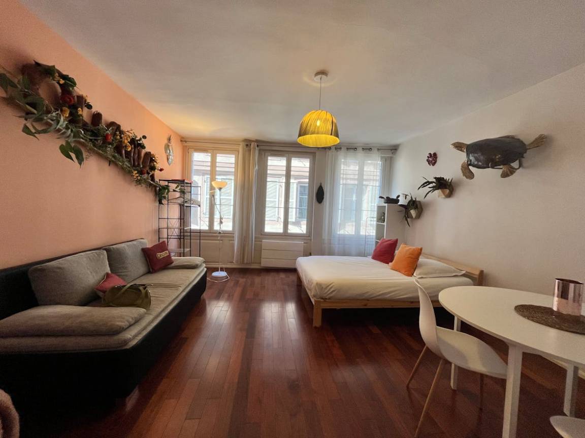 32 M² Apartamento ∙ 1 Huésped - Estrasburgo