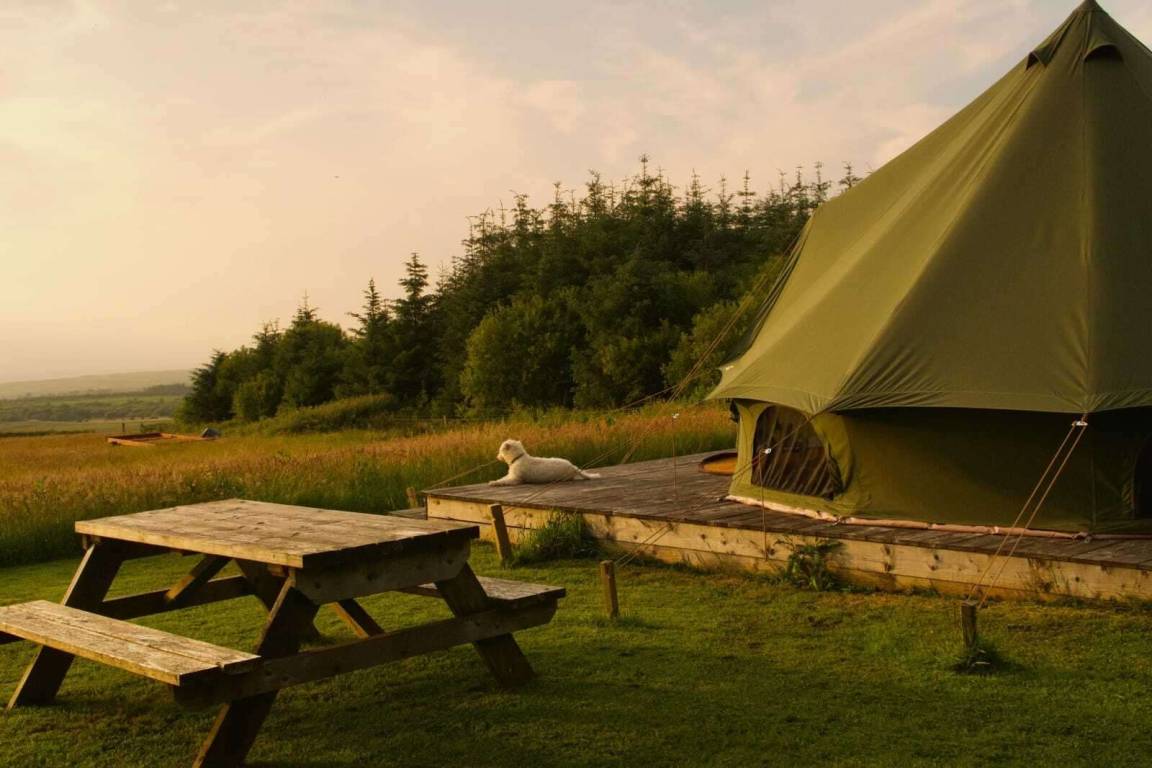 40 M² Cabin ∙ 1 Bedroom ∙ 2 Guests - Wales