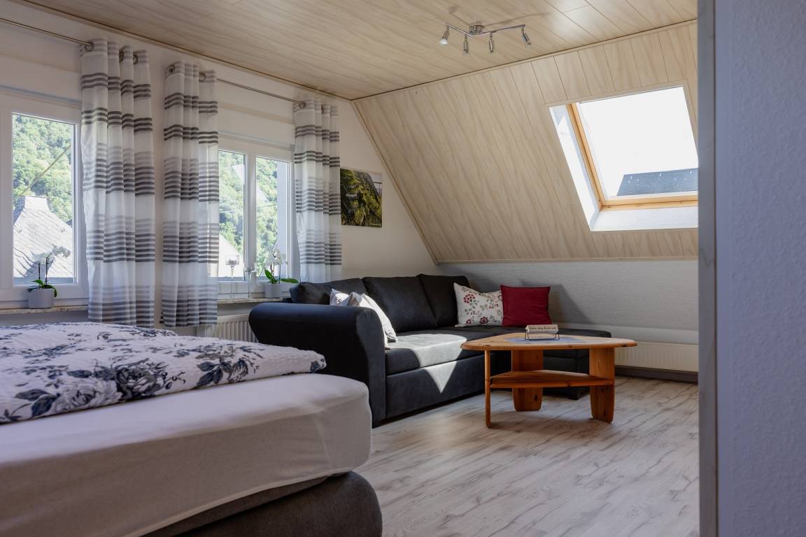 43 M² Apartment ∙ 1 Bedroom ∙ 4 Guests - Koblenz