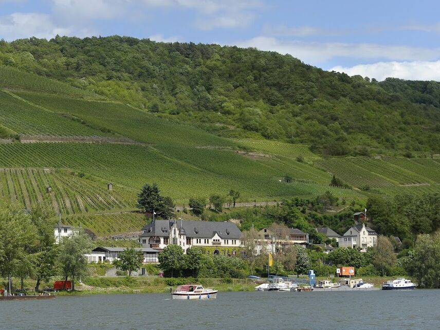62 M² Apartment ∙ 1 Bedroom ∙ 2 Guests - Bacharach