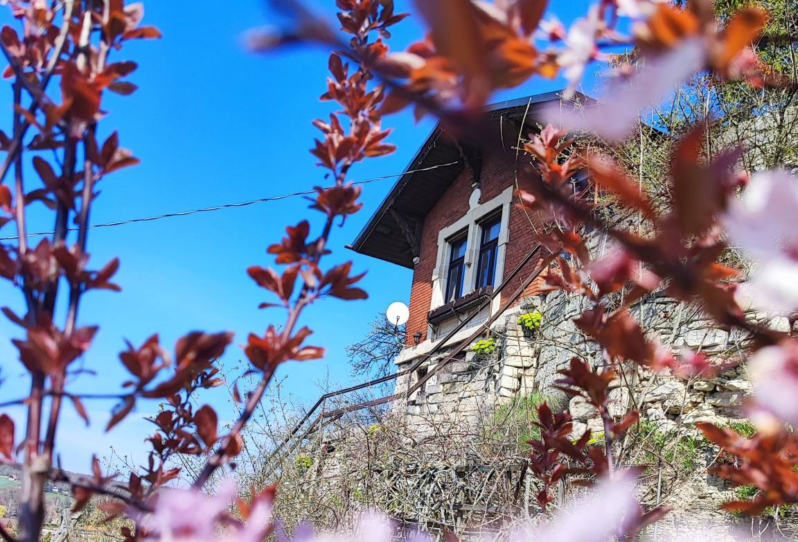 56 M² House ∙ 1 Bedroom ∙ 5 Guests - Freyburg