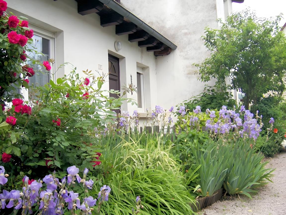 69 M² Landhaus ∙ 2 Schlafzimmer ∙ 4 Gäste - Alsace