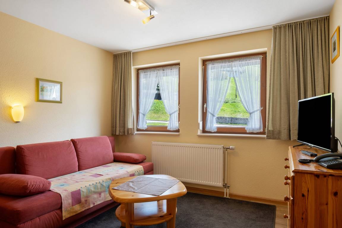 37 M² Appartement ∙ 1 Slaapkamer ∙ 2 Gasten - Todtnau