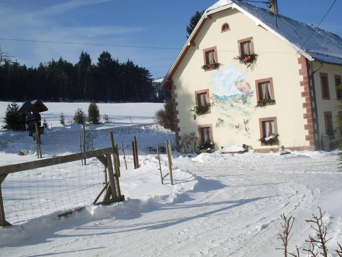 70 M² Cottage ∙ 1 Bedroom ∙ 4 Guests - Black Forest