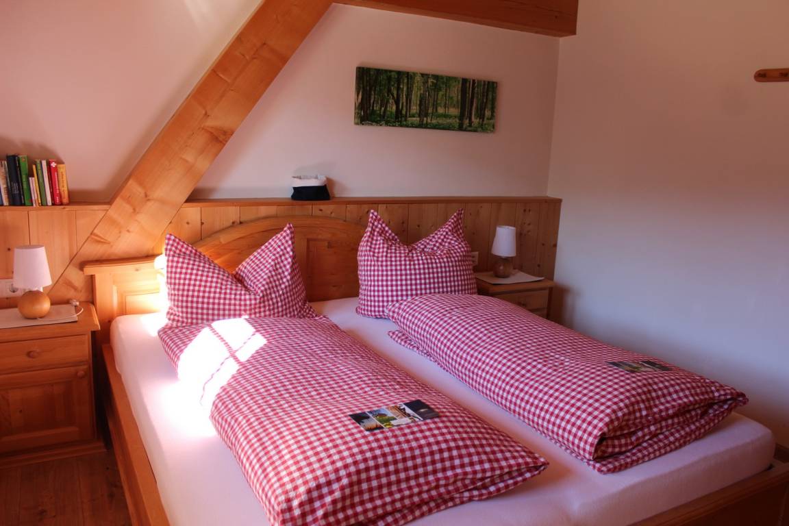 50 M² Appartement ∙ 1 Chambre ∙ 2 Personnes - Hinterzarten