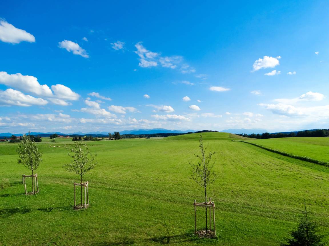 53 M² Apartment ∙ 1 Bedroom ∙ 2 Guests - Geretsried