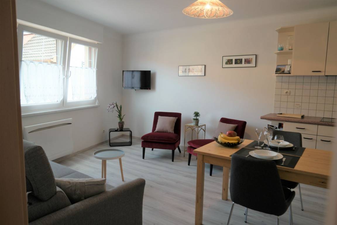 40 M² Gîte ∙ 1 Bedroom ∙ 2 Guests - Elsass