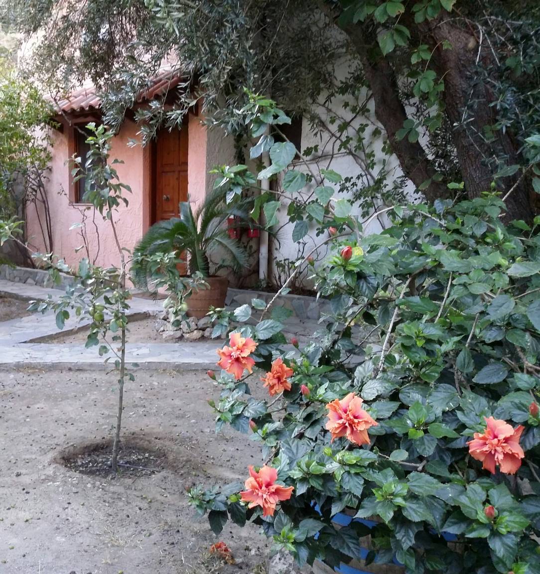 64 M² Cottage ∙ 2 Bedrooms ∙ 4 Guests - Crete