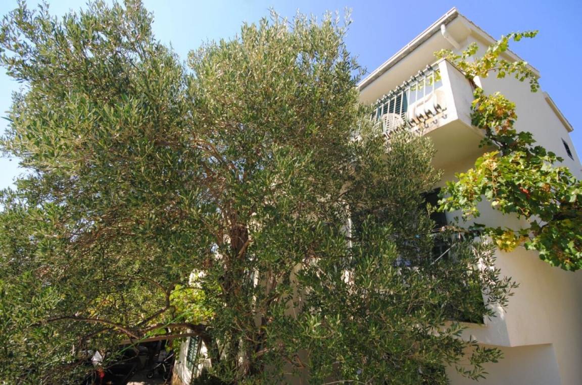 80 M² Ferienwohnung ∙ 3 Schlafzimmer ∙ 6 Gäste - Maslinica