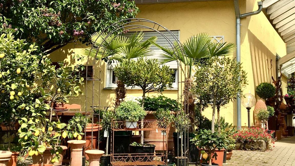 32 M² Apartment ∙ 2 Guests - Tübingen