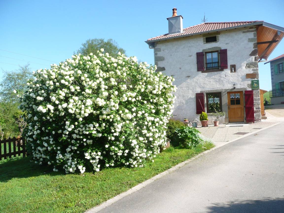 75 M² Cottage ∙ 2 Bedrooms ∙ 5 Guests - Alps