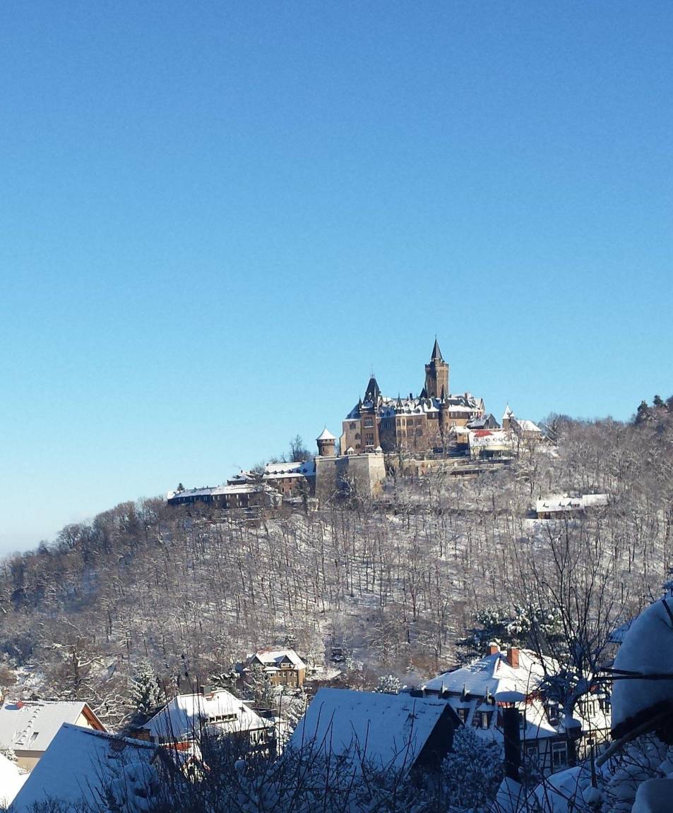 40 M² Ferienwohnung ∙ 1 Schlafzimmer ∙ 3 Gäste - Wernigerode