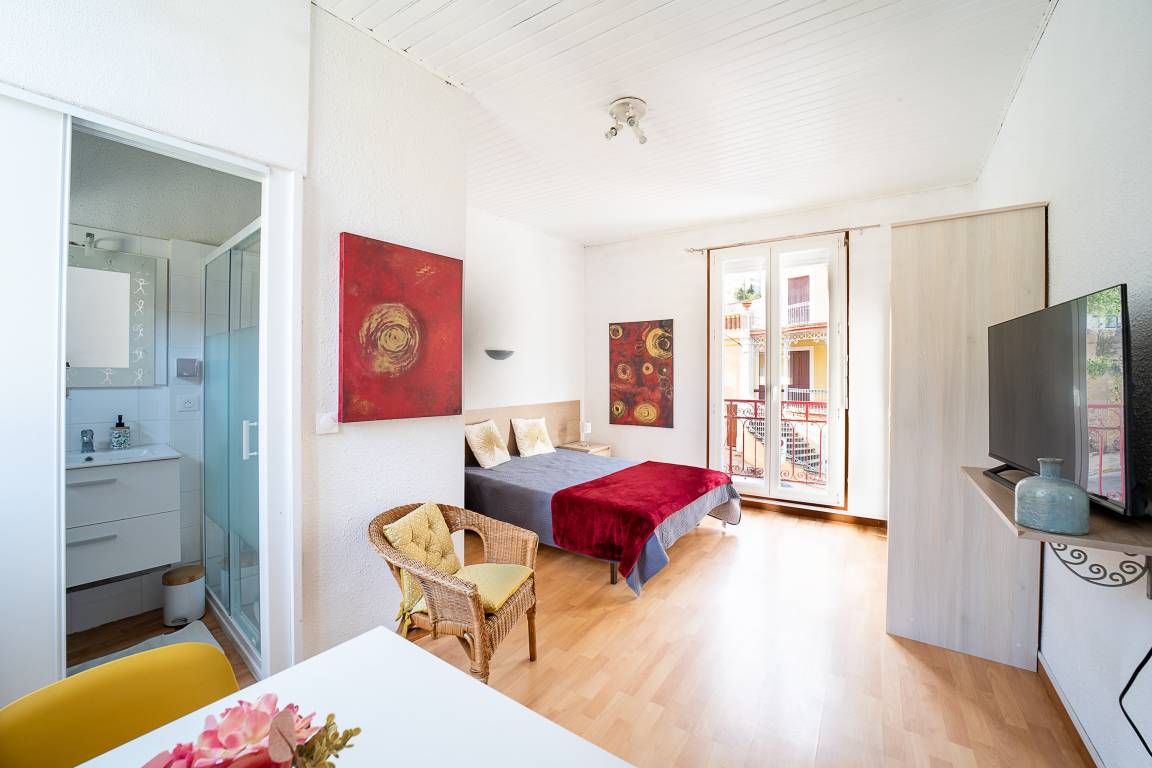 23 M² Appartement ∙ 2 Personnes - Amélie-les-Bains-Palalda