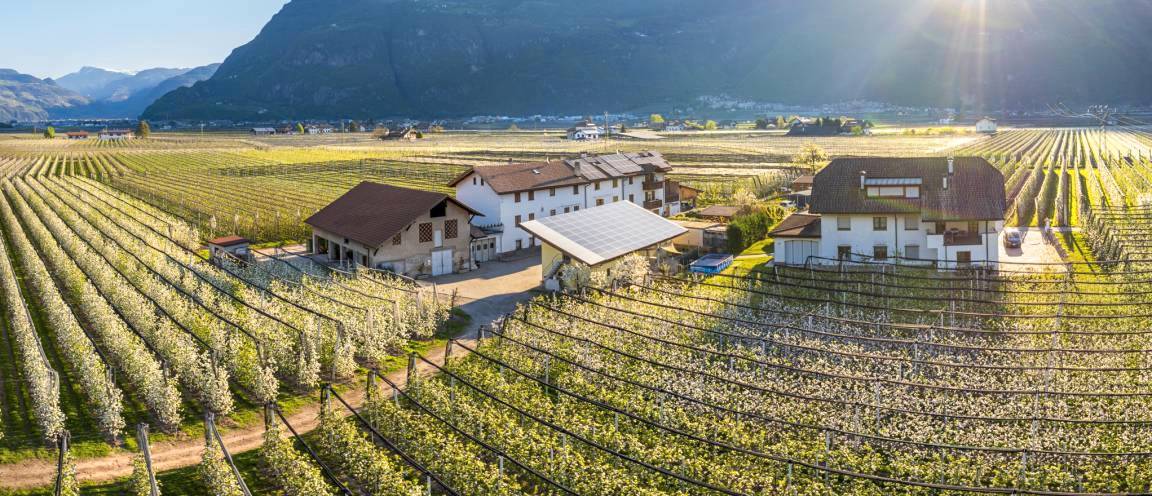 44 M² Huoneisto ∙ 1 Makuuhuone ∙ 4 Vierasta - Bolzano
