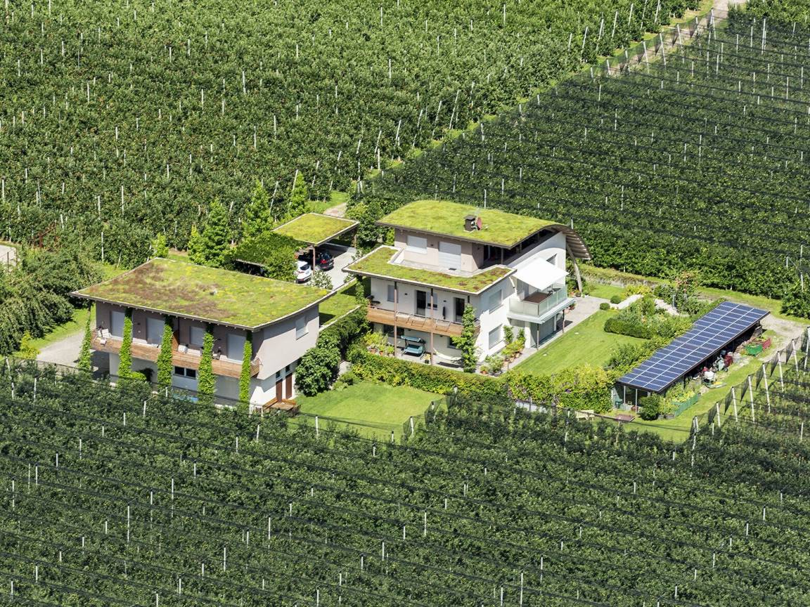 46 M² Apartment ∙ 1 Bedroom ∙ 4 Guests - Lana