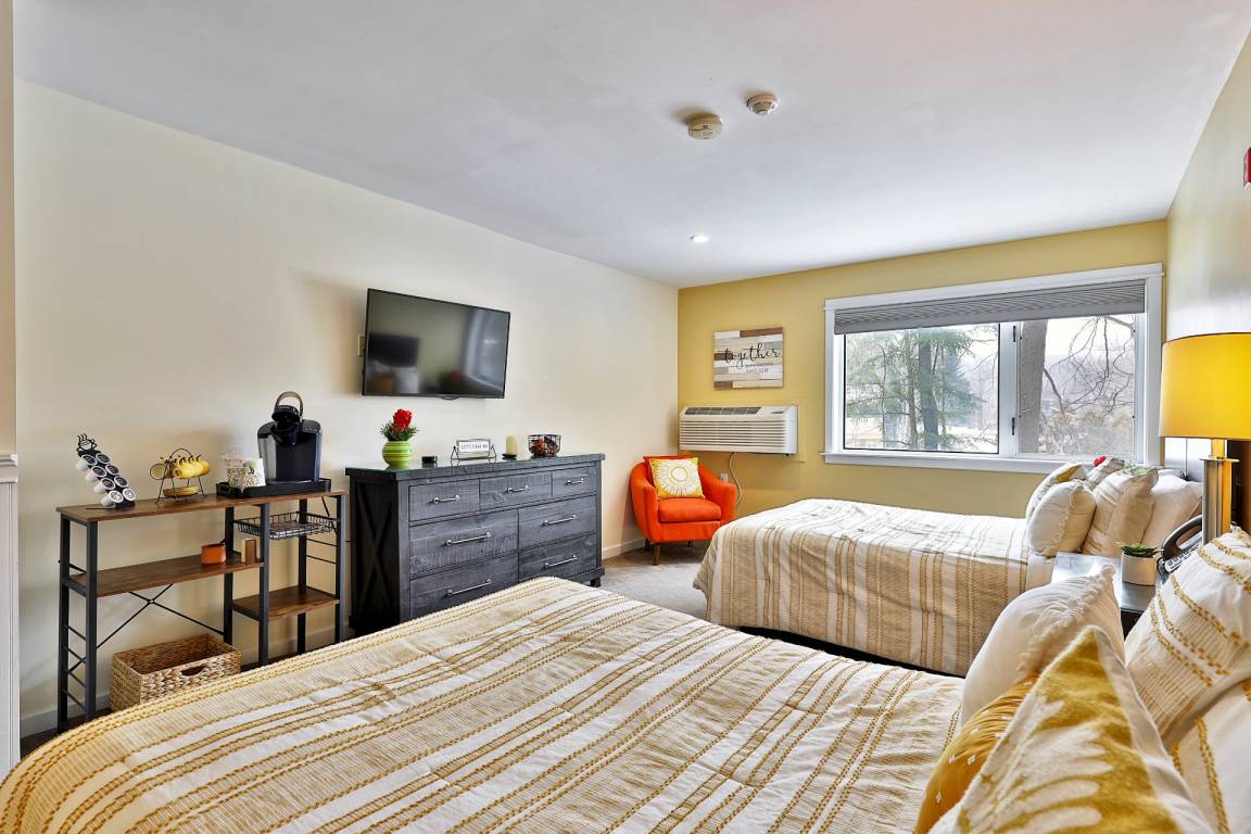23 M² Apartamento ∙ 1 Habitación ∙ 4 Huéspedes - Killington, VT