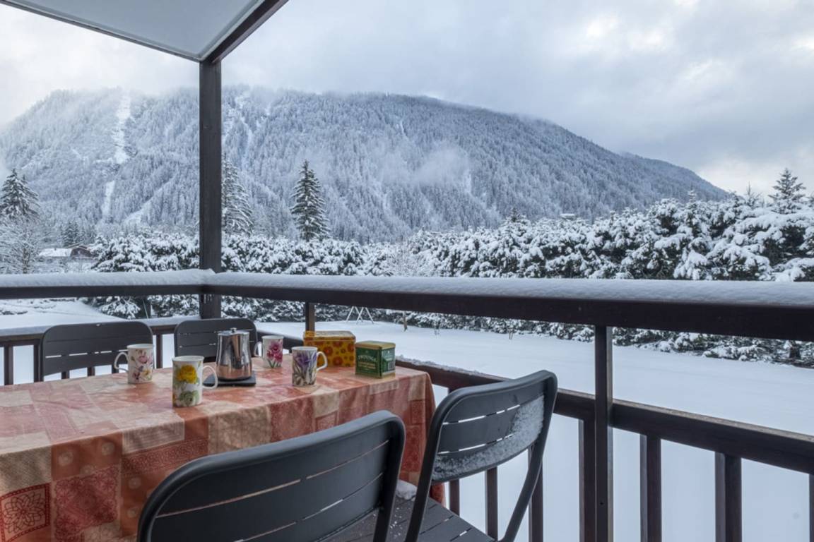 42 M² Apartment ∙ 1 Bedroom ∙ 4 Guests - Chamonix-Mont-Blanc