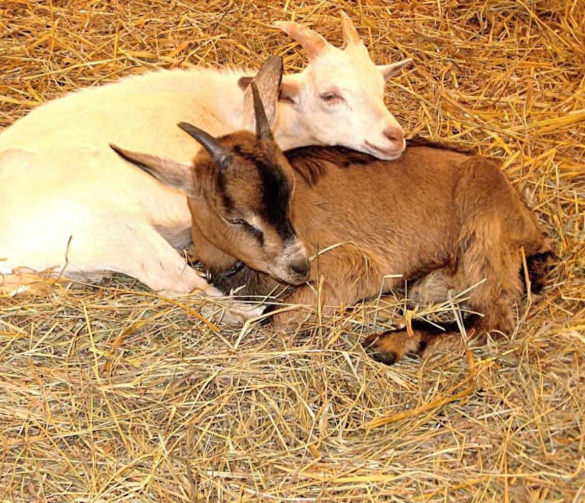 Apartment ∙ 2 Guests - Monroe, NY