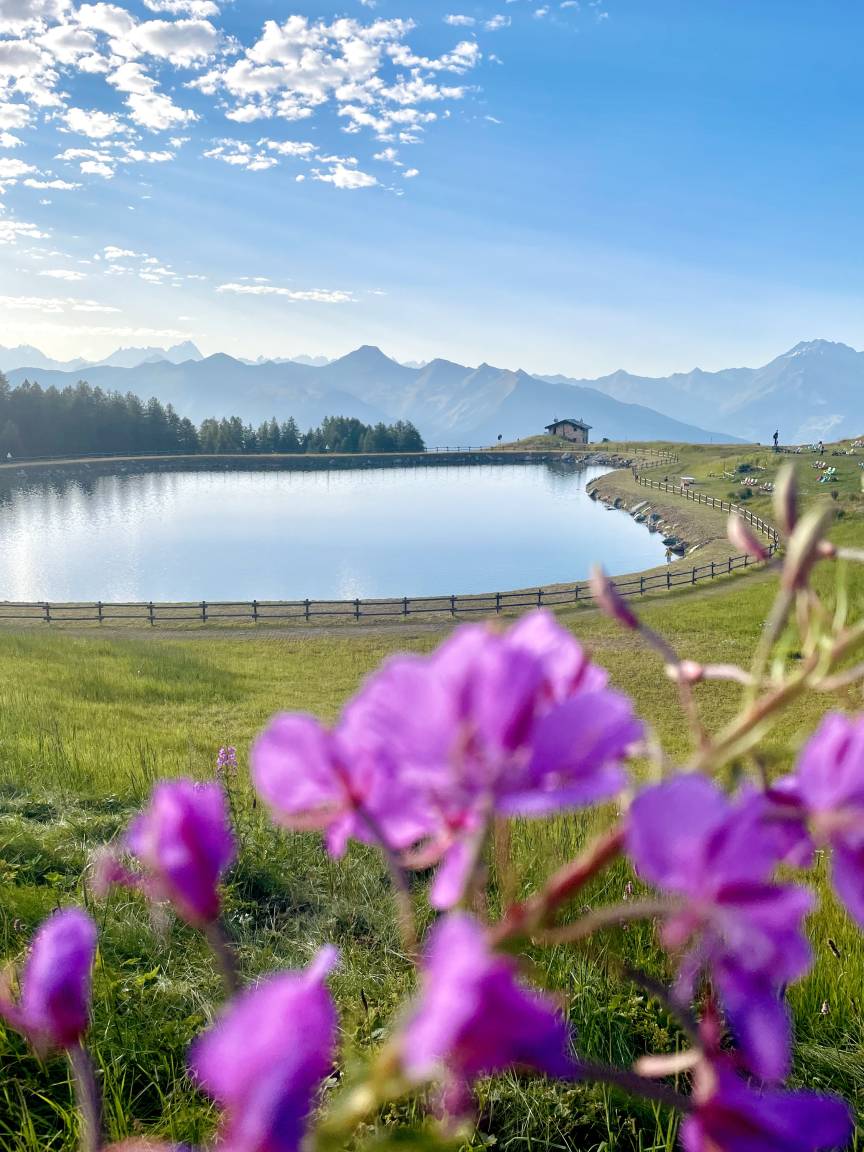 Chalet ∙ 2 Bedrooms ∙ 5 Guests - Aosta