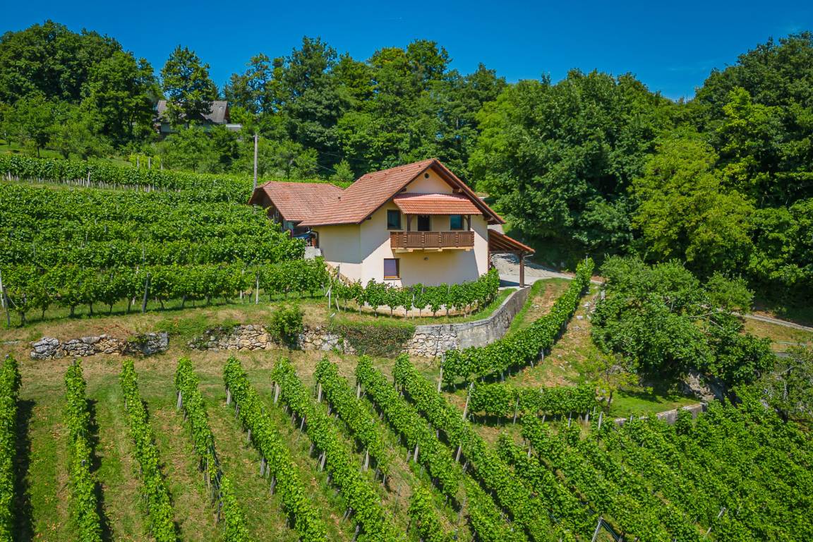54 M² House ∙ 1 Bedroom ∙ 4 Guests - Dolenjske Toplice