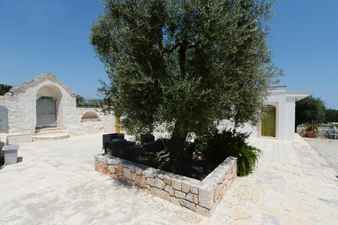 Farmhouse ∙ 1 Bedroom ∙ 2 Guests - Alberobello