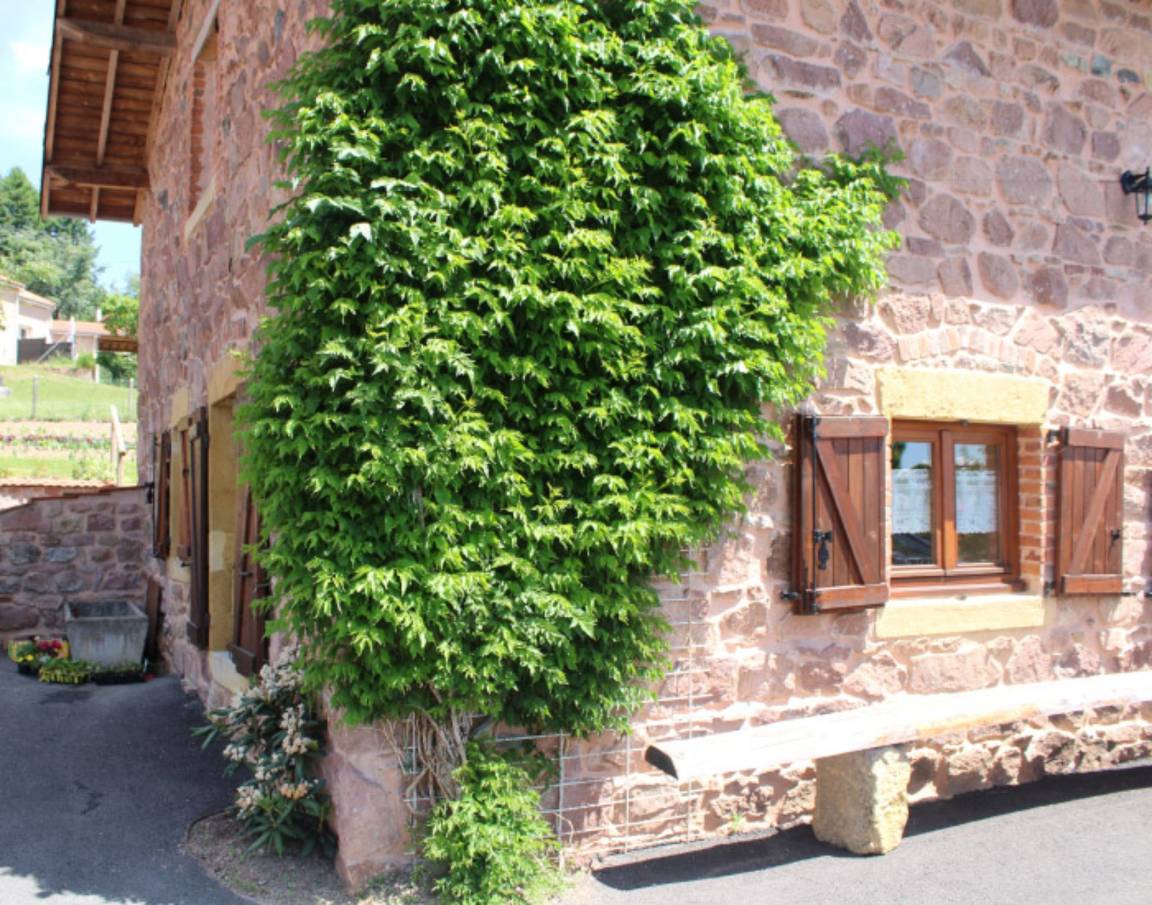 83 M² Maison De Vacances ∙ 3 Chambres ∙ 6 Personnes - Charlieu